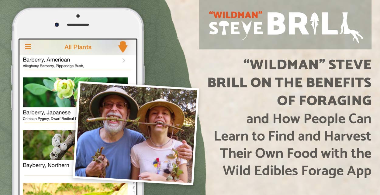 “Wildman” Steve Brill on the Benefits of Foraging and How People Can ...