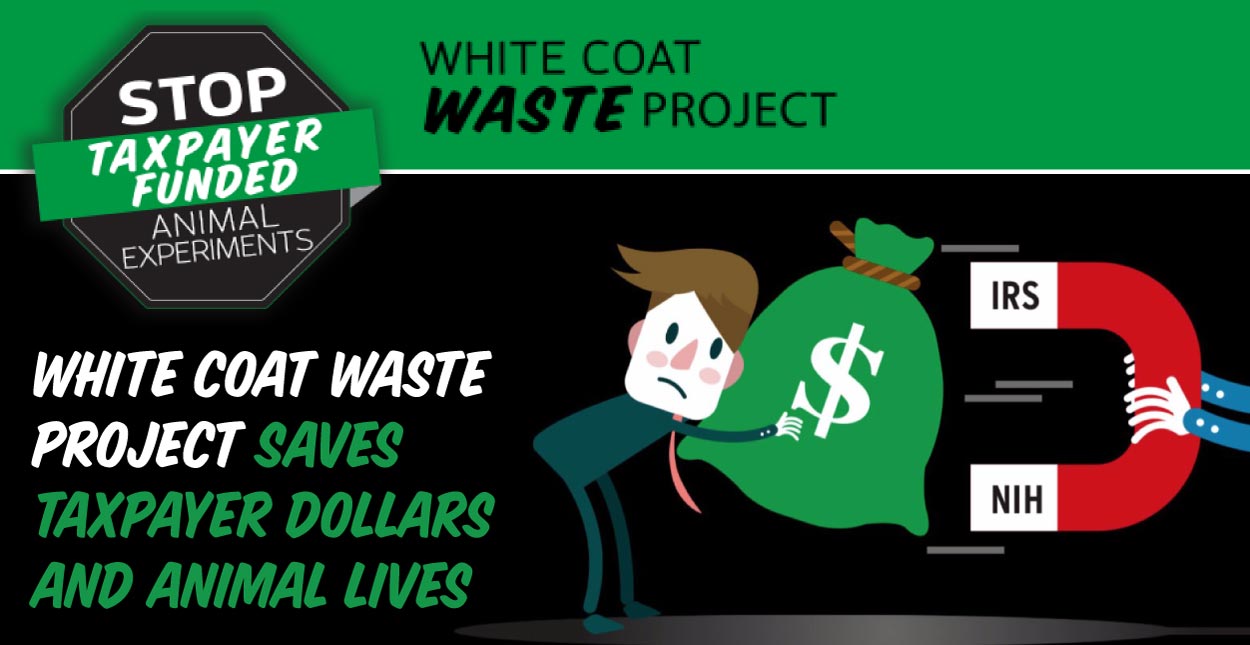 White Coat Waste Project Saves Taxpayer Dollars And Animal Lives By white-coat-waste-project-saves-taxpayer-dollars-and-animal-lives-by